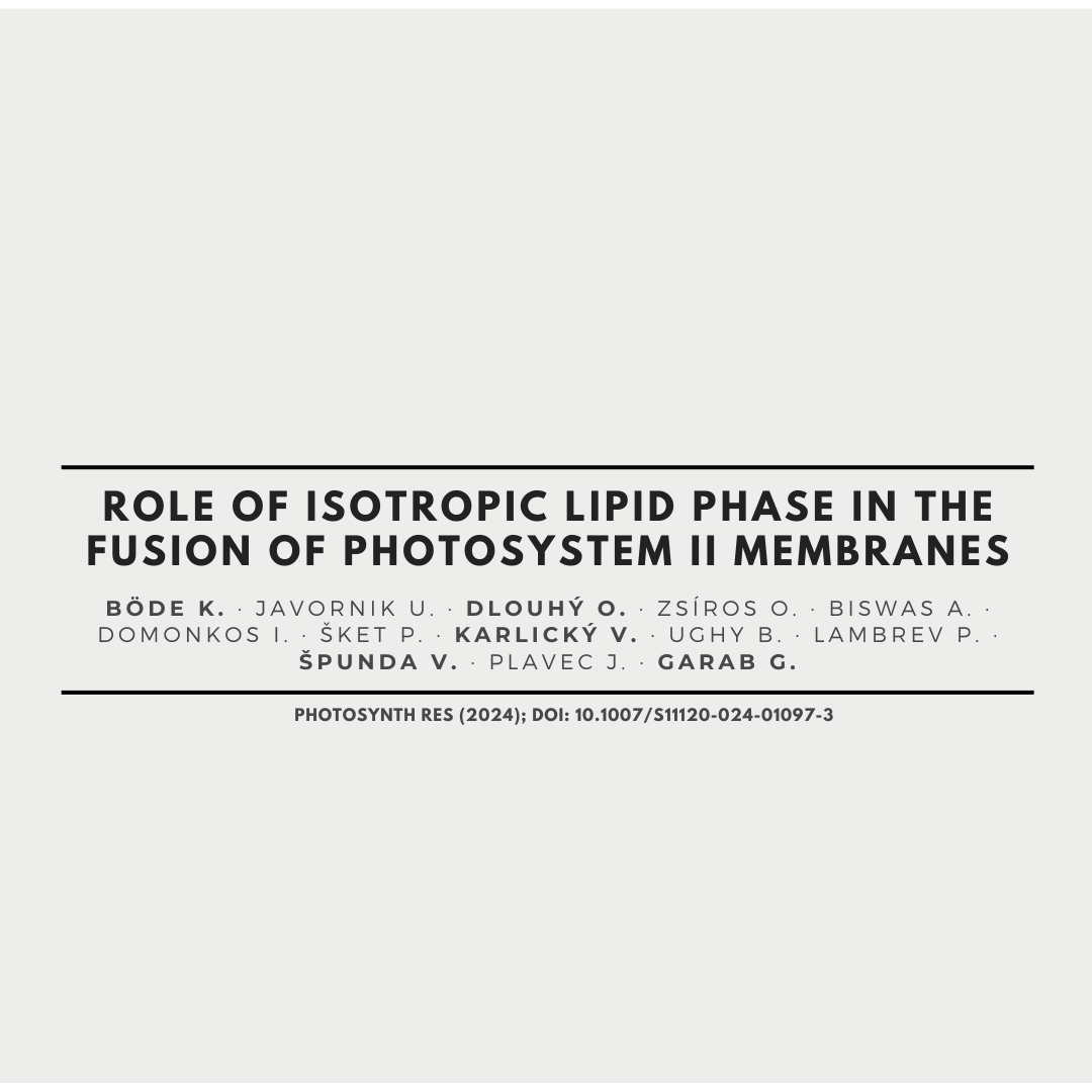 Newly published paper – “Role of isotropic lipid phase in the fusion of ...