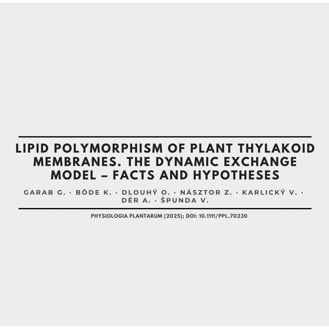 Newly published paper – “Lipid polymorphism of plant thylakoid ...